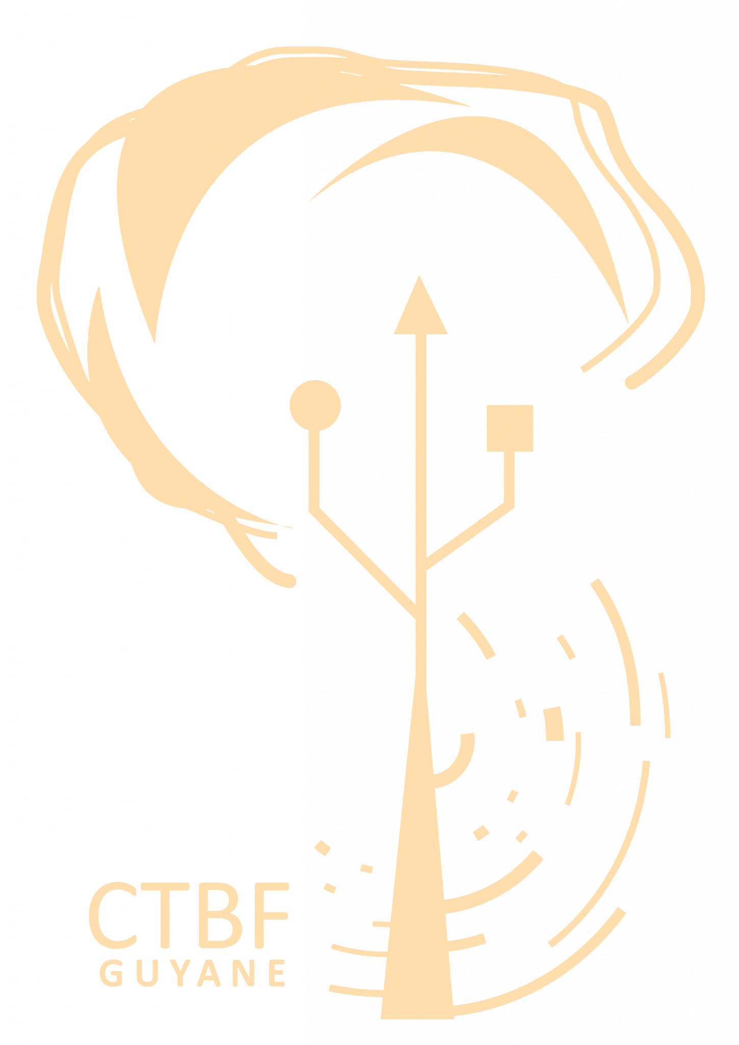 Classes des Bois - CTBF Guyane