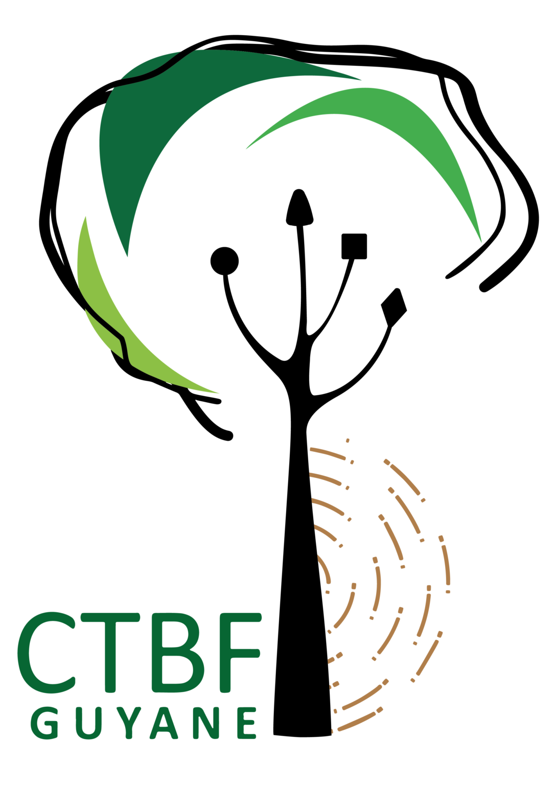 Classes des Bois - CTBF Guyane