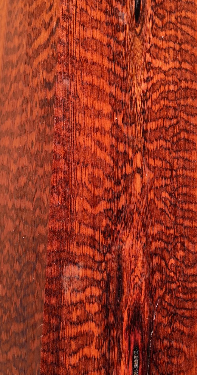 Amourette - CTBF Guyane