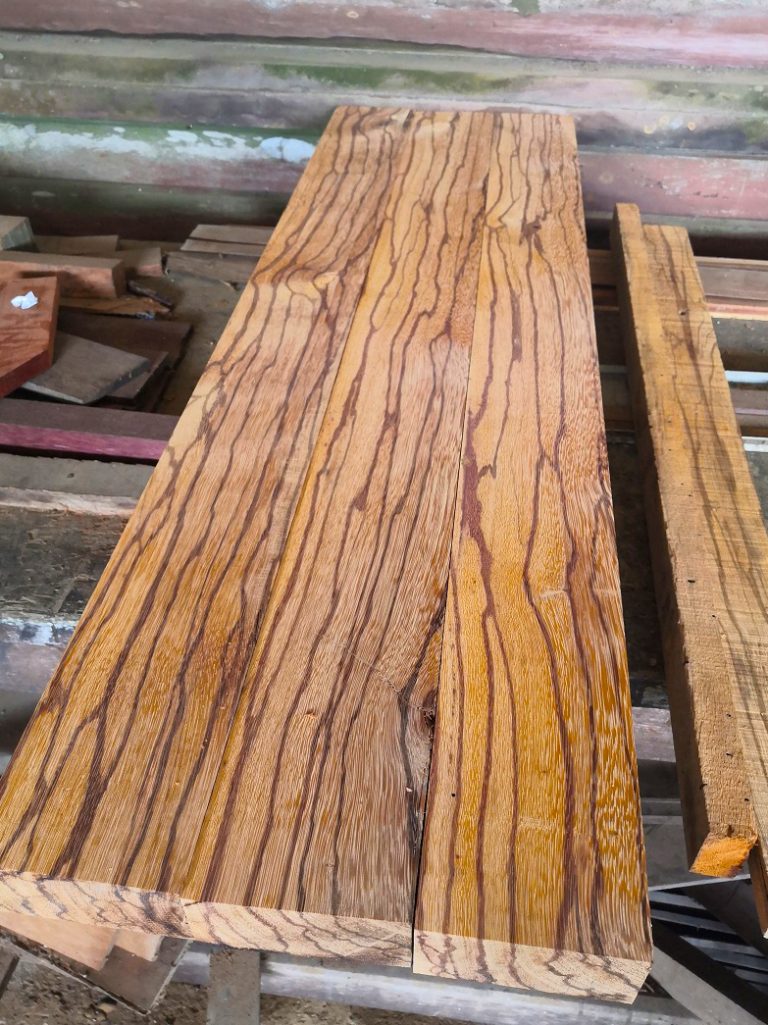 Bois serpent - CTBF Guyane