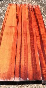 Amourette - CTBF Guyane