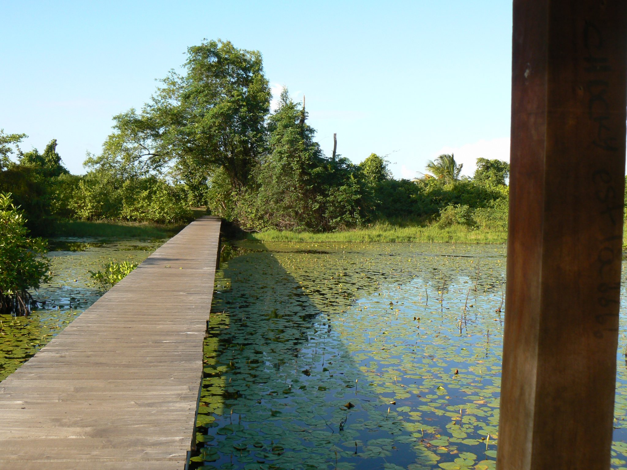 Classes des Bois - CTBF Guyane