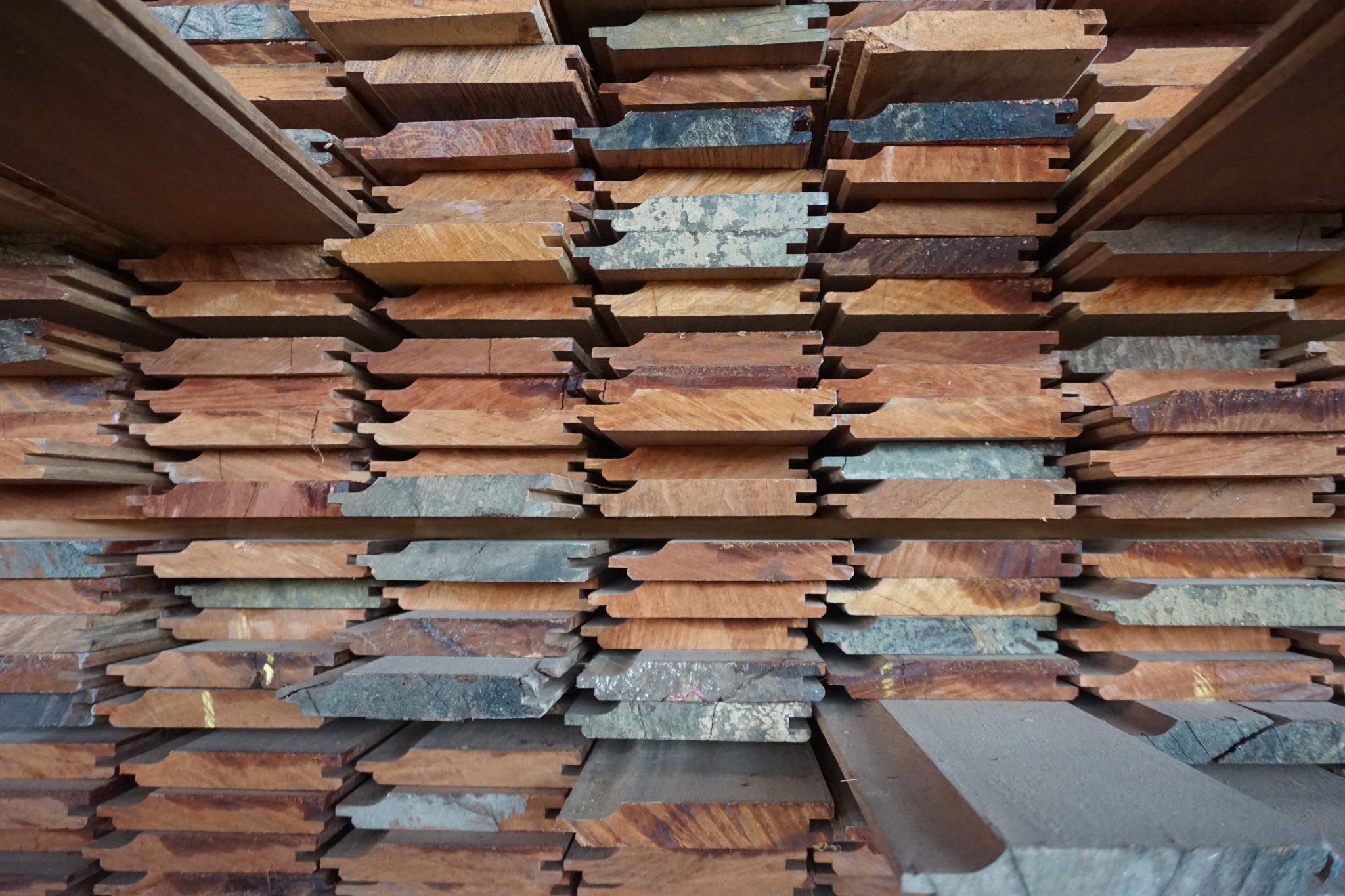 Ressources Techniques - CTBF Guyane