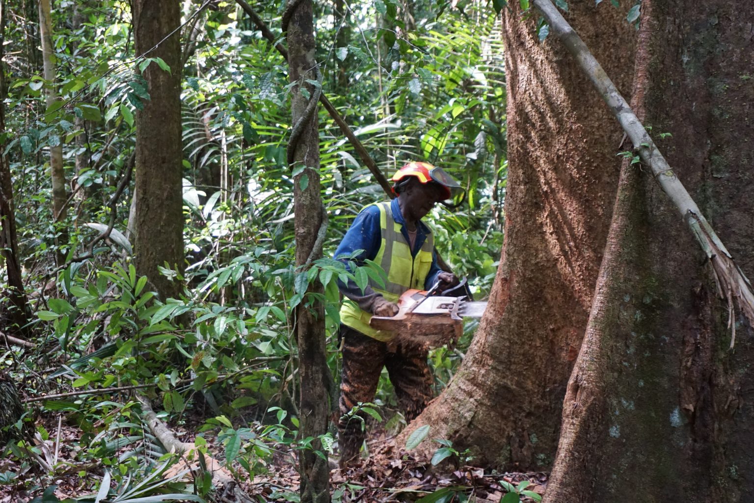 Ressources Techniques - CTBF Guyane