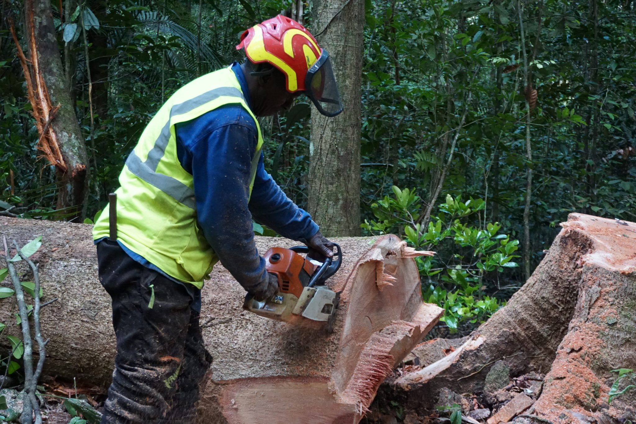 CTBF - Centre Technique des Bois et Forêts de GUYANE