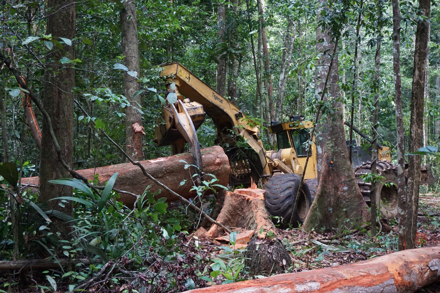 Ressources Techniques - CTBF Guyane