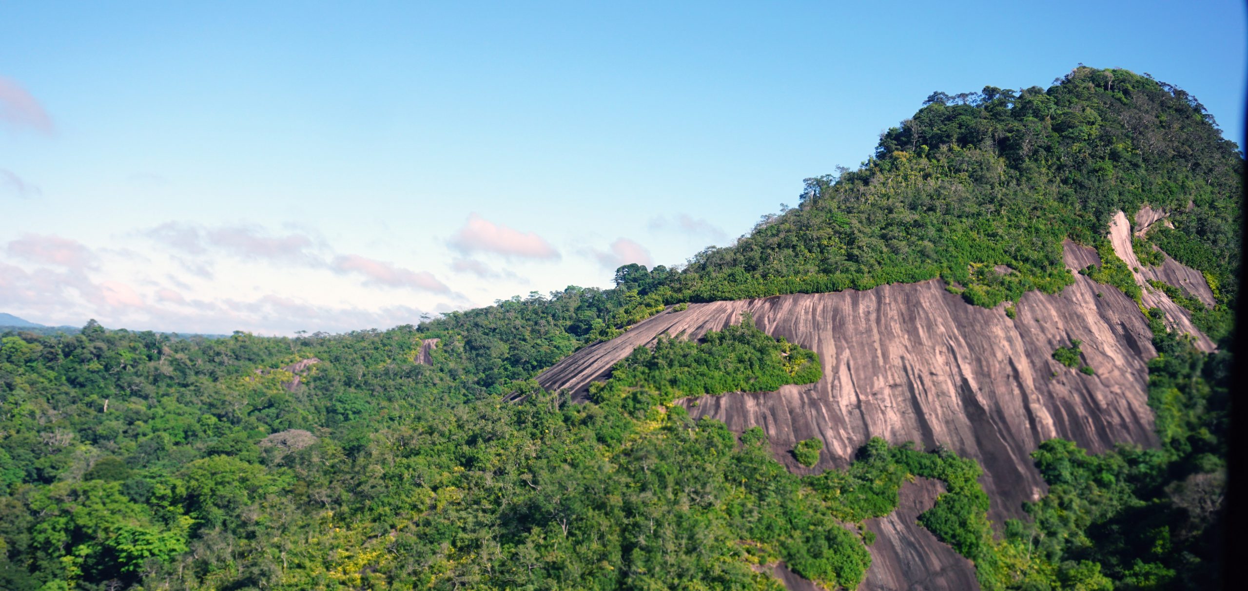 CTBF - Centre Technique des Bois et Forêts de GUYANE