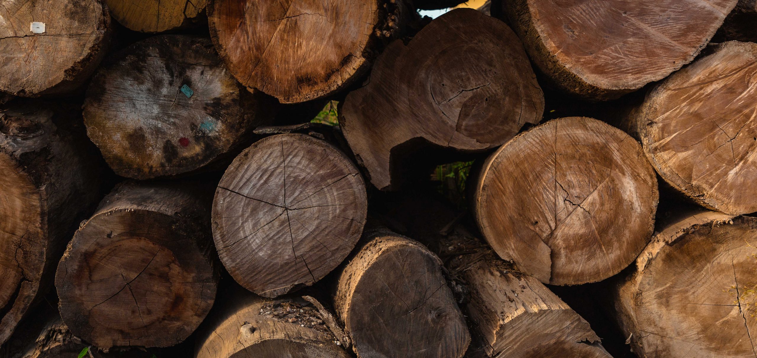 CTBF - Centre Technique des Bois et Forêts de GUYANE