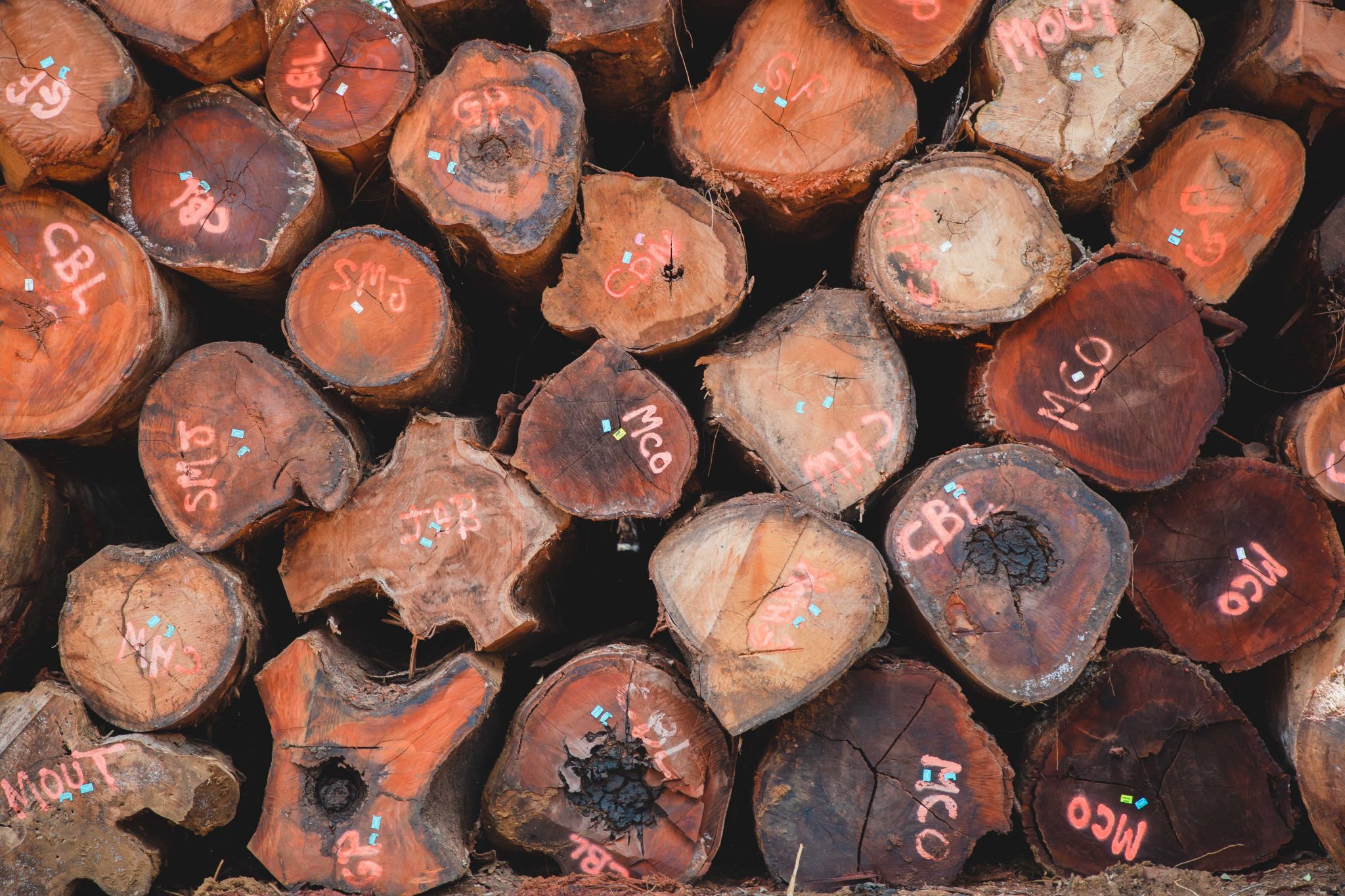 CTBF - Centre Technique des Bois et Forêts de GUYANE