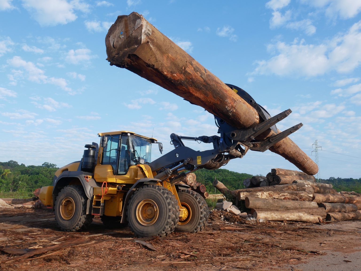 CTBF - Centre Technique des Bois et Forêts de GUYANE