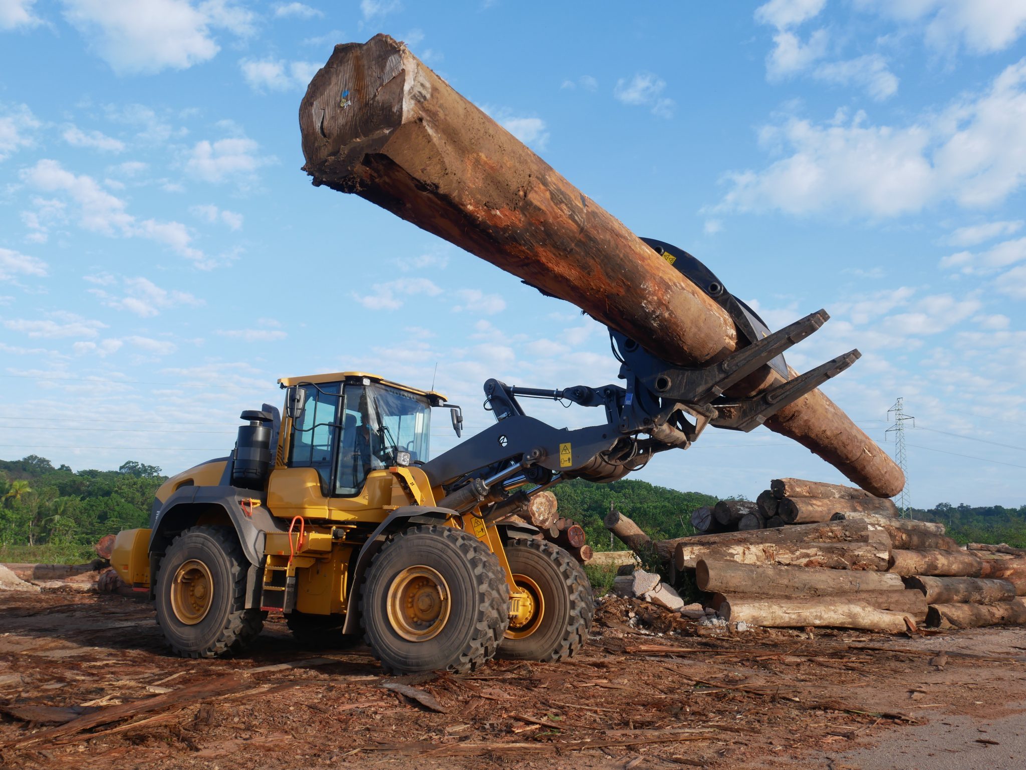 CTBF - Centre Technique des Bois et Forêts de GUYANE