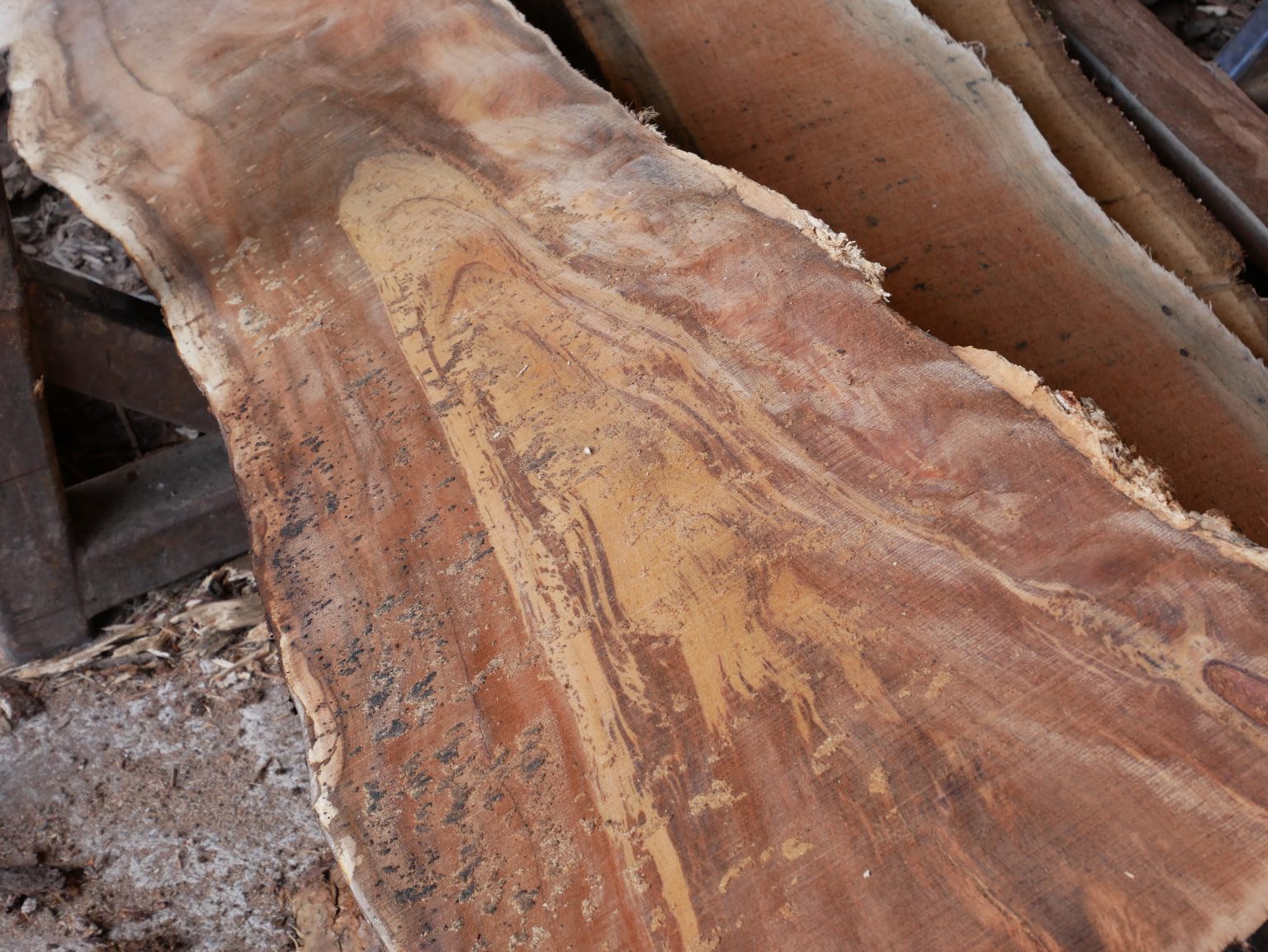 CTBF - Centre Technique des Bois et Forêts de GUYANE
