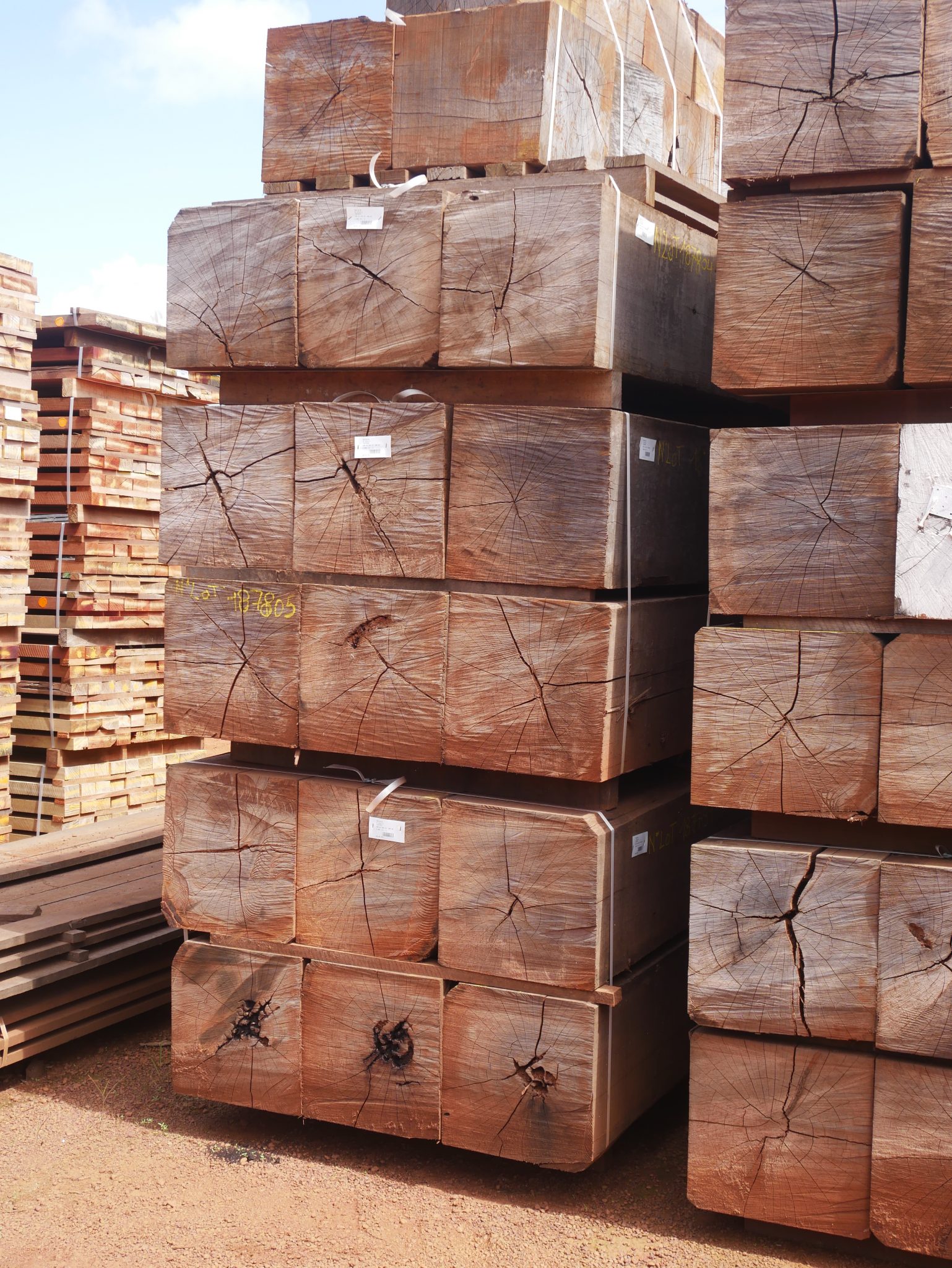 CTBF - Centre Technique des Bois et Forêts de GUYANE