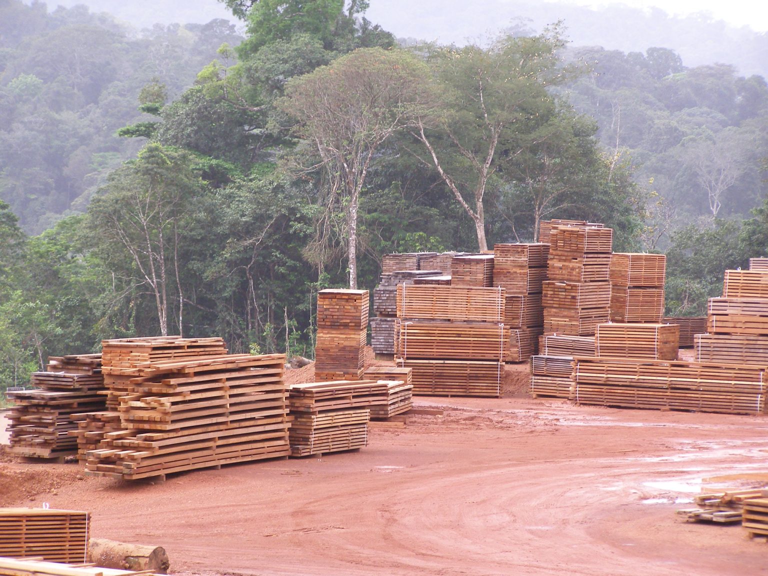 Ressources Techniques - CTBF Guyane