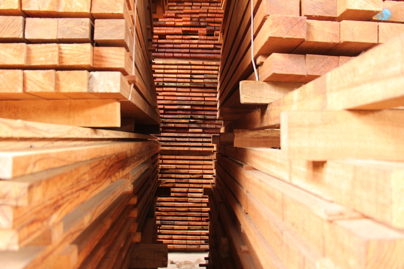 Ressources Techniques - CTBF Guyane