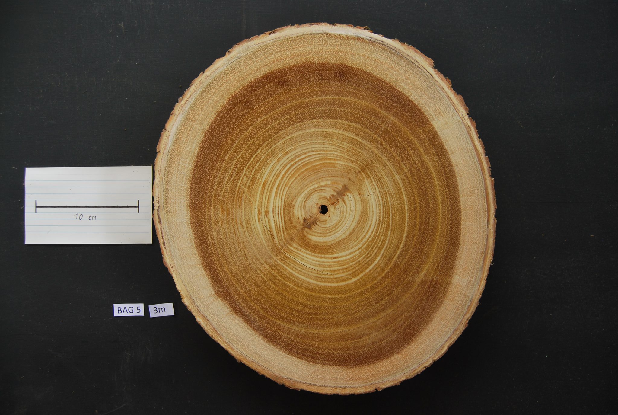 Bagasse - CTBF Guyane