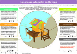 Classes des Bois - CTBF Guyane